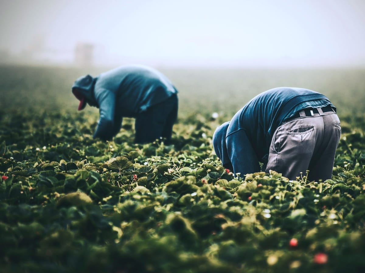 Study finds 37% rise in illegal profits from forced labor over past decade