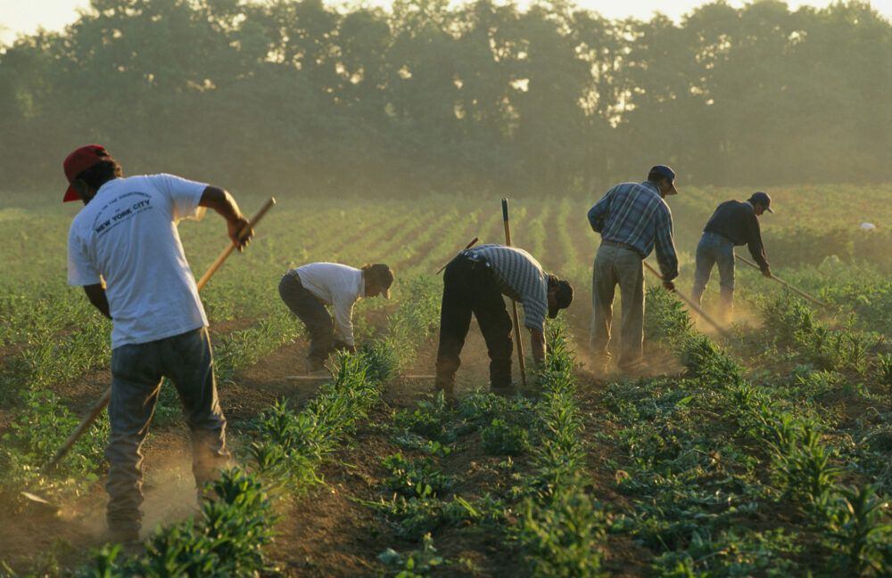 World’s first global migration pact adopted | Arete News